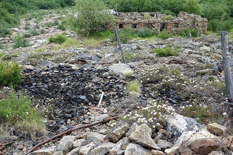 Sibirien | Kamtschatka | Republik Altai | Reisebericht